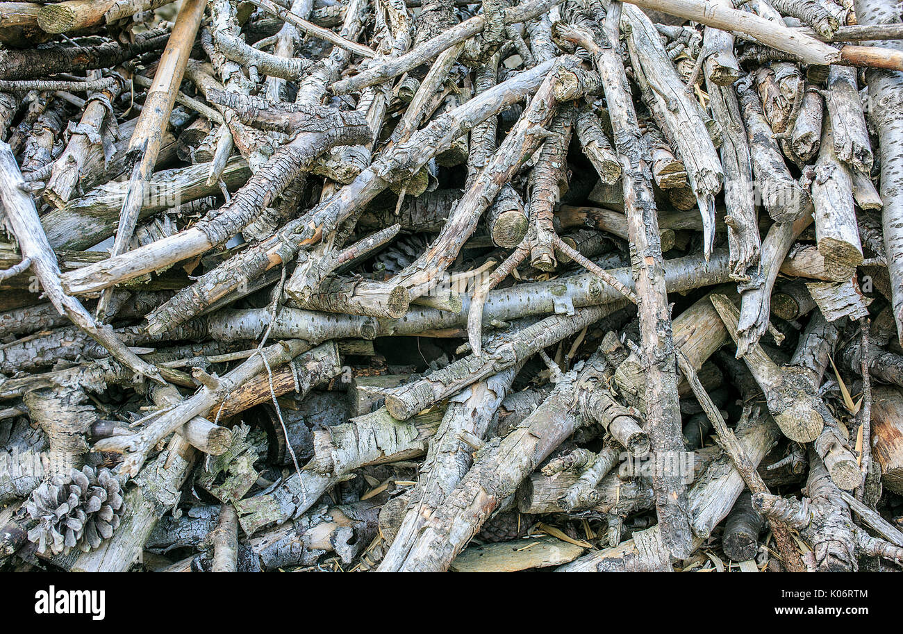 Chipped branch wood hi-res stock photography and images - Alamy