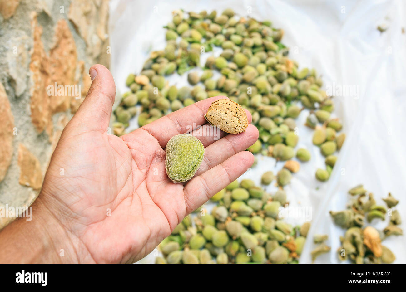 Group of almonds with its skin Stock Photo - Alamy