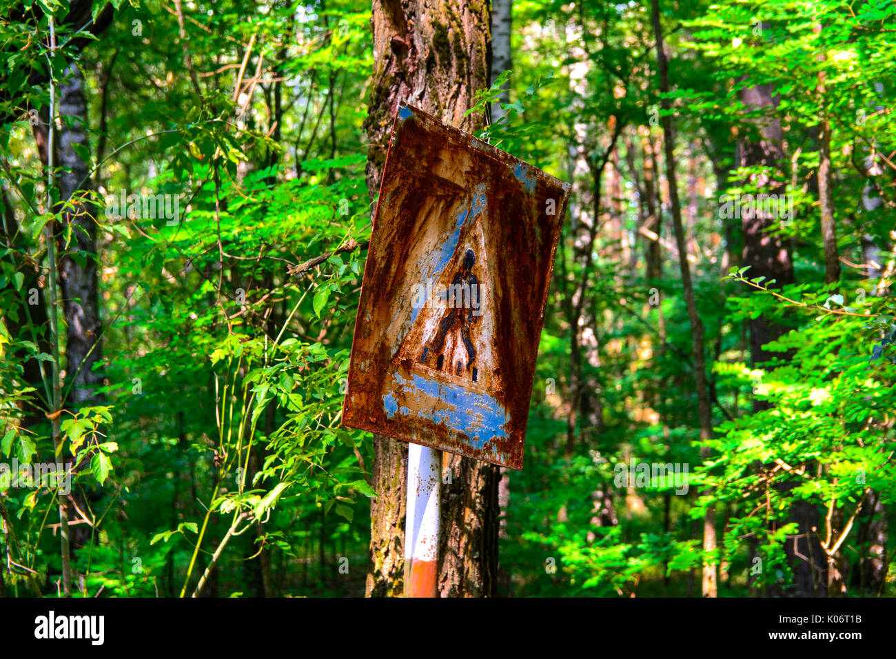 Old rusty signs of caution on the tree. Dead military unit ...