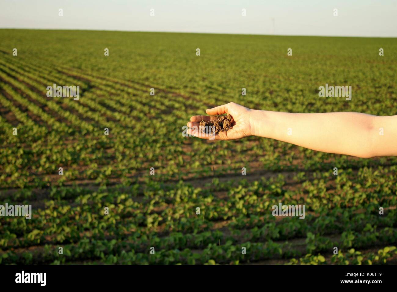Hand ground hi-res stock photography and images - Alamy