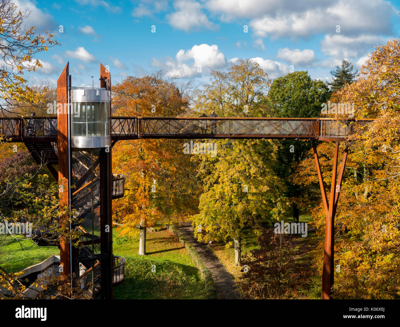 Rhizotron and xstrata treetop walkway hi-res stock photography and ...