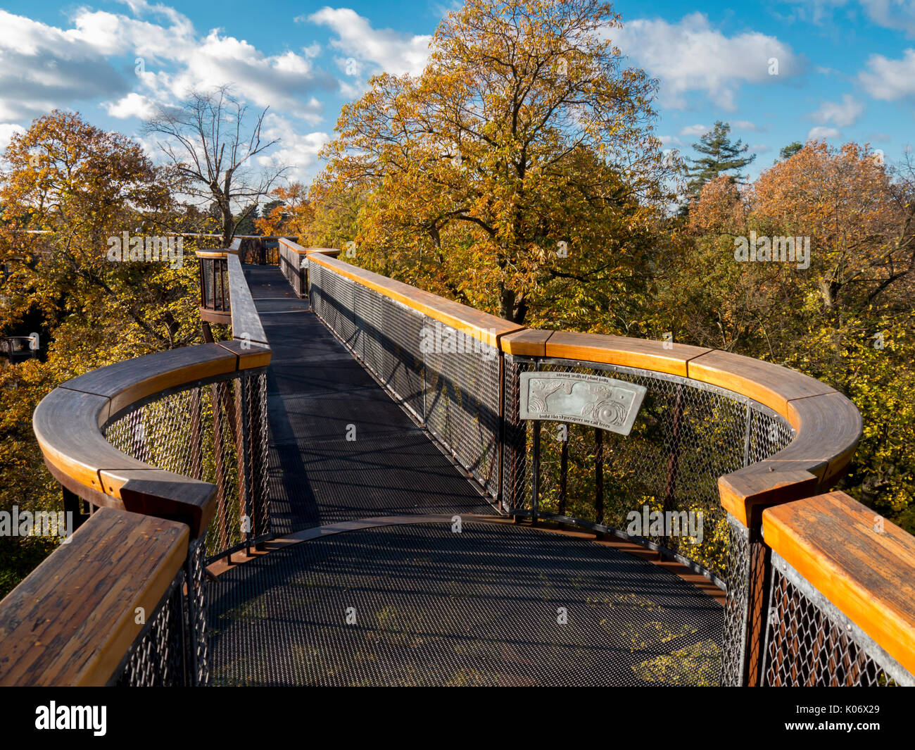 Europe, UK, England, London, Kew Gardens Treetop Walkway Stock Photo ...