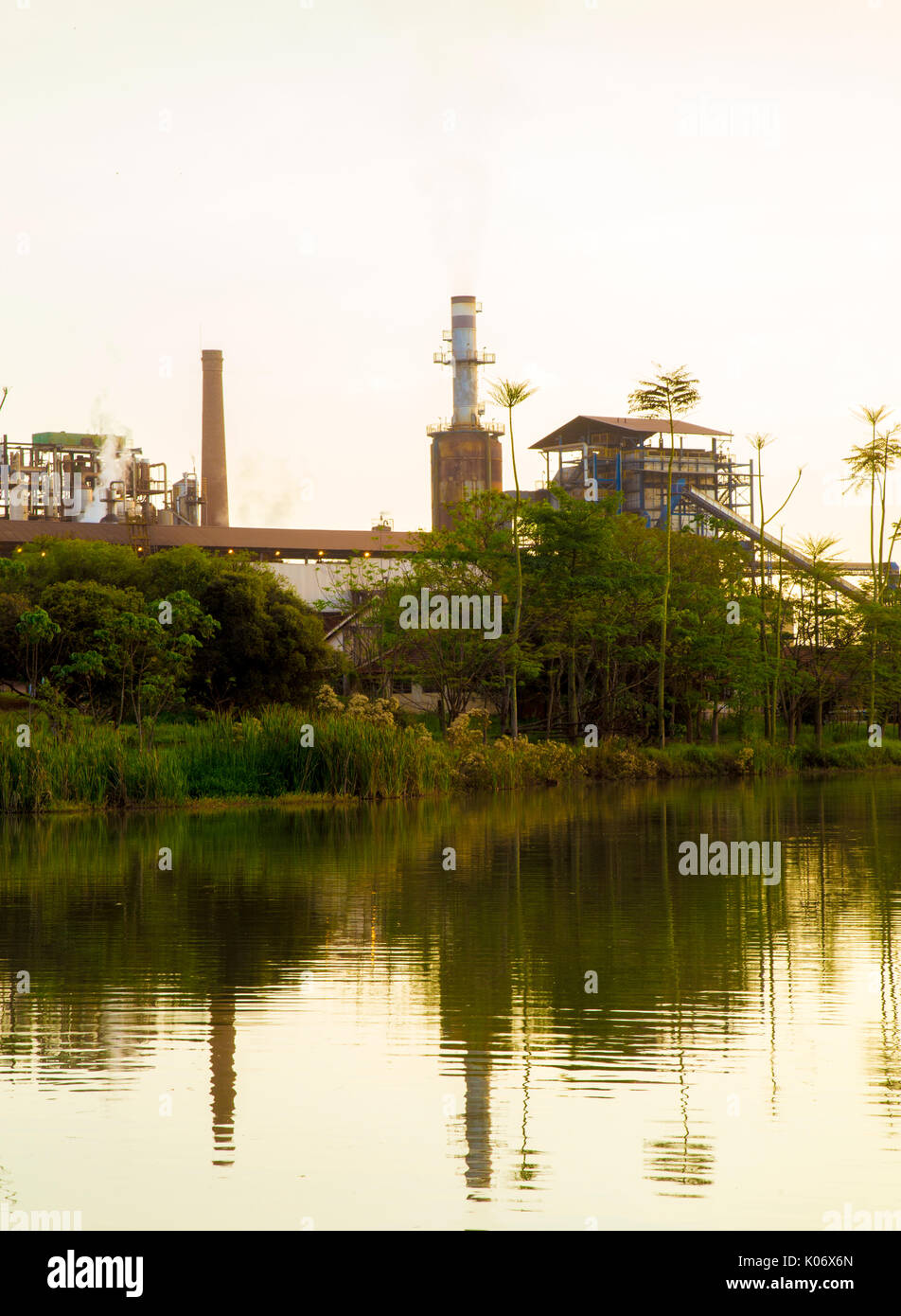 sugar cane sunset Stock Photo - Alamy