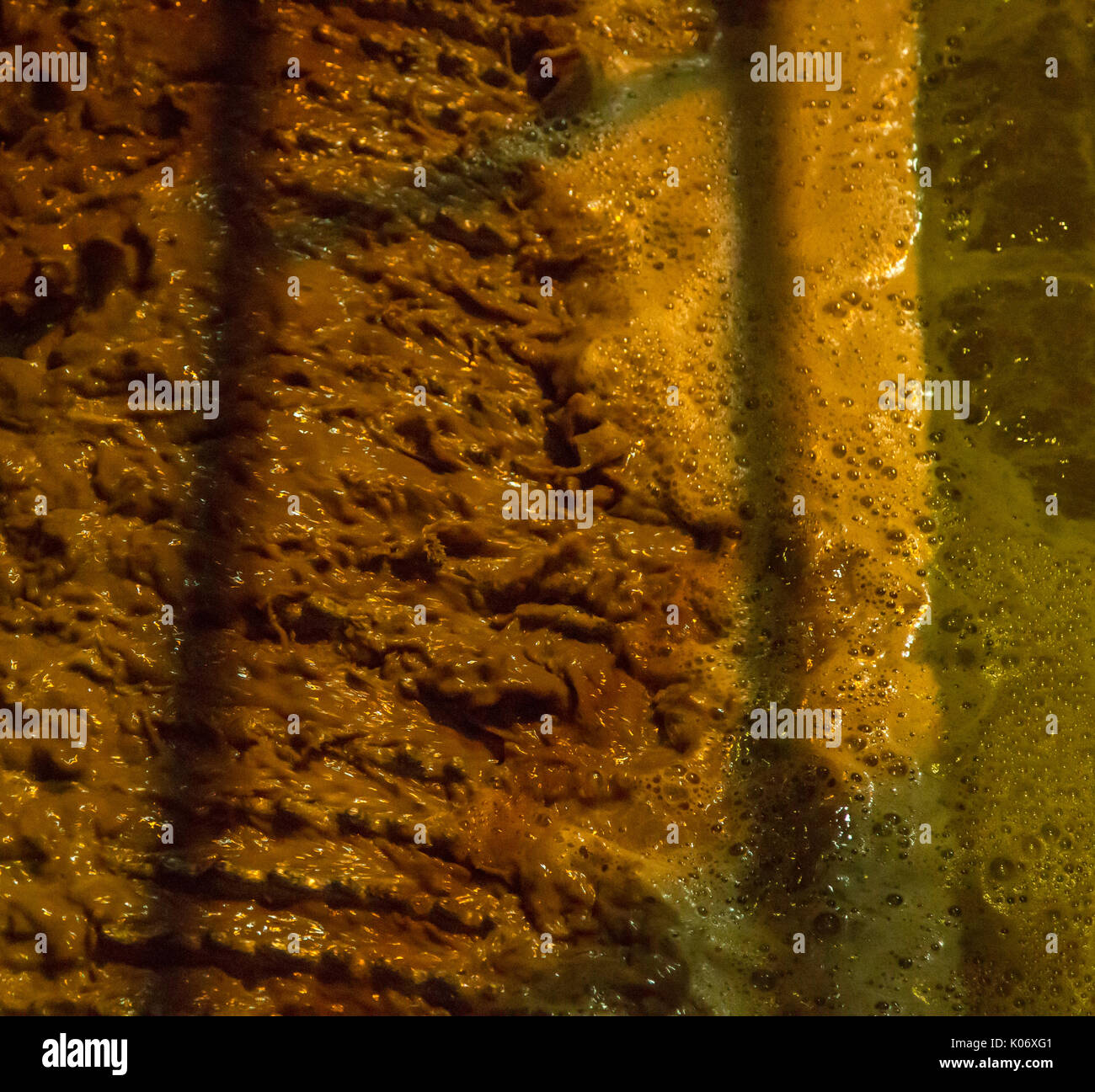 sugar cane line Stock Photo - Alamy