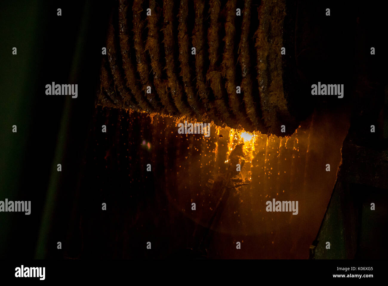 sugar cane line Stock Photo - Alamy