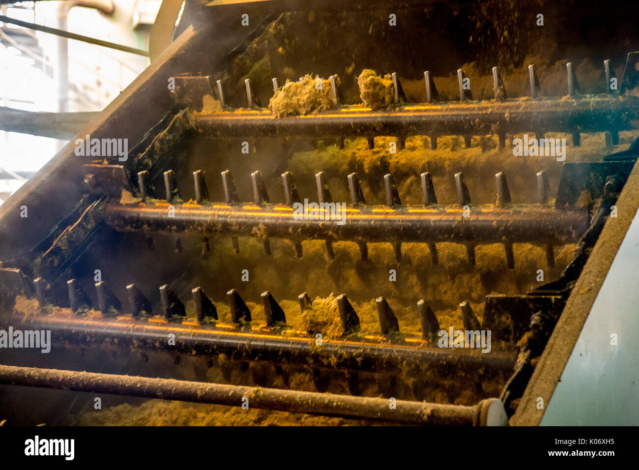 sugar cane line Stock Photo - Alamy