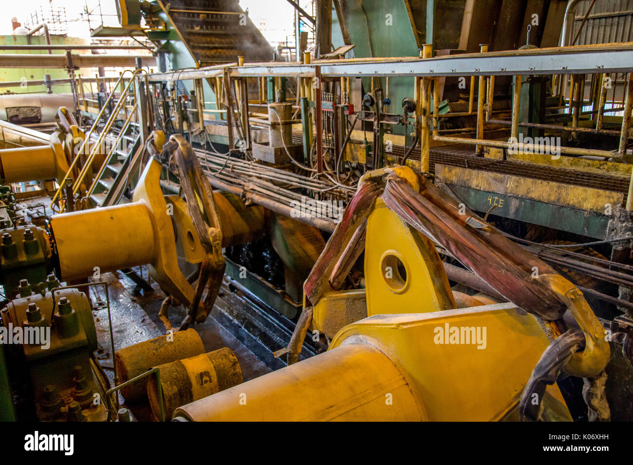 sugar cane line Stock Photo - Alamy