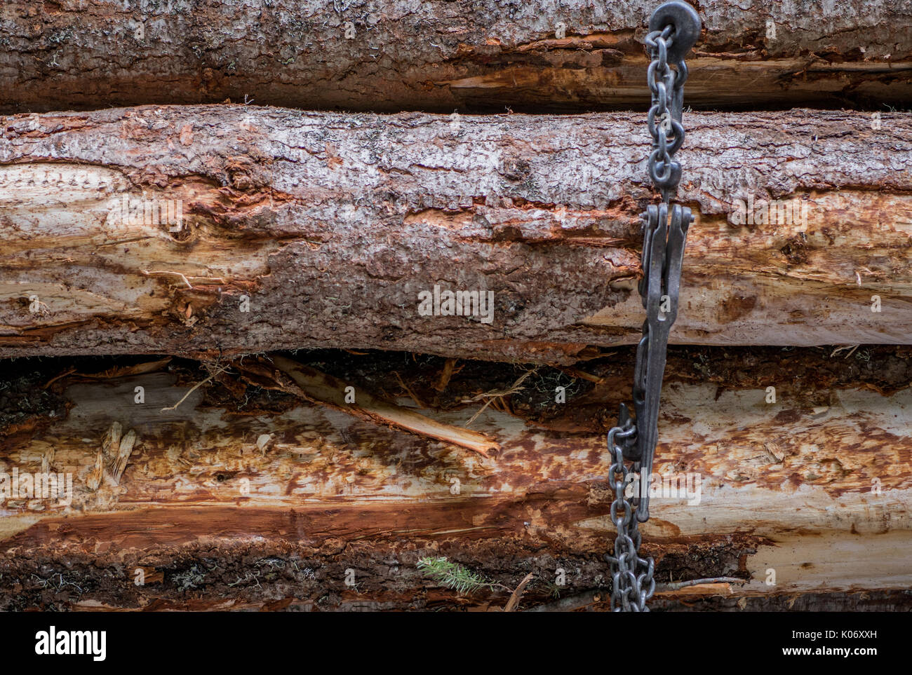 Ratchet and Chain Wrapped Around Logs on logging truck Stock Photo - Alamy