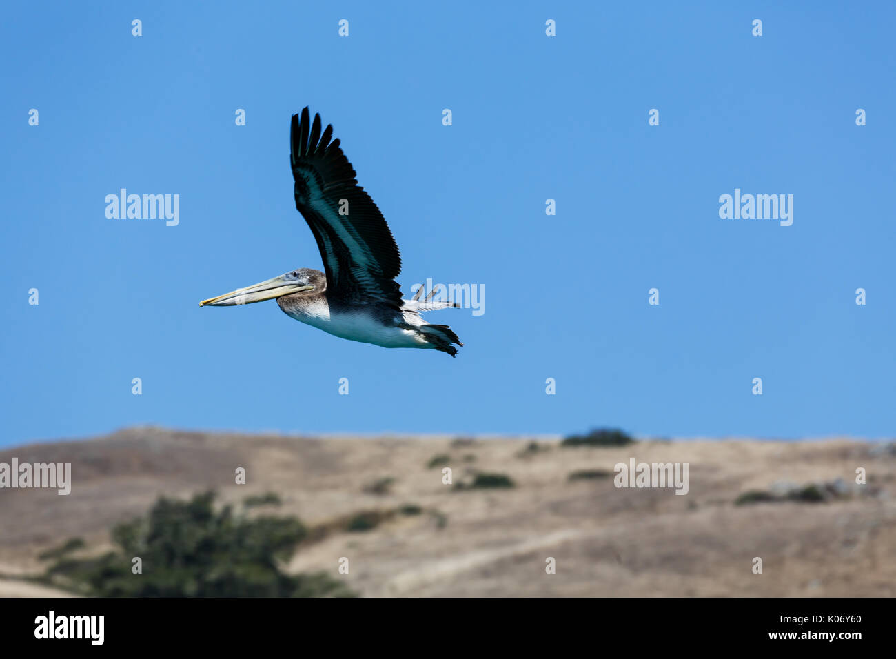 Fling up water hi-res stock photography and images - Alamy