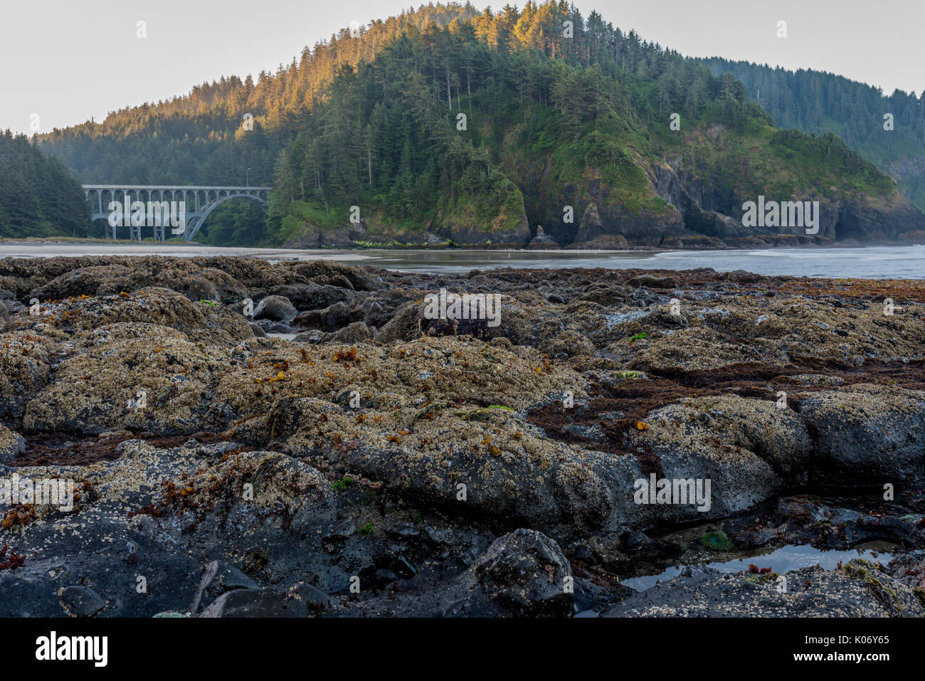 Heceta beach hi-res stock photography and images - Alamy