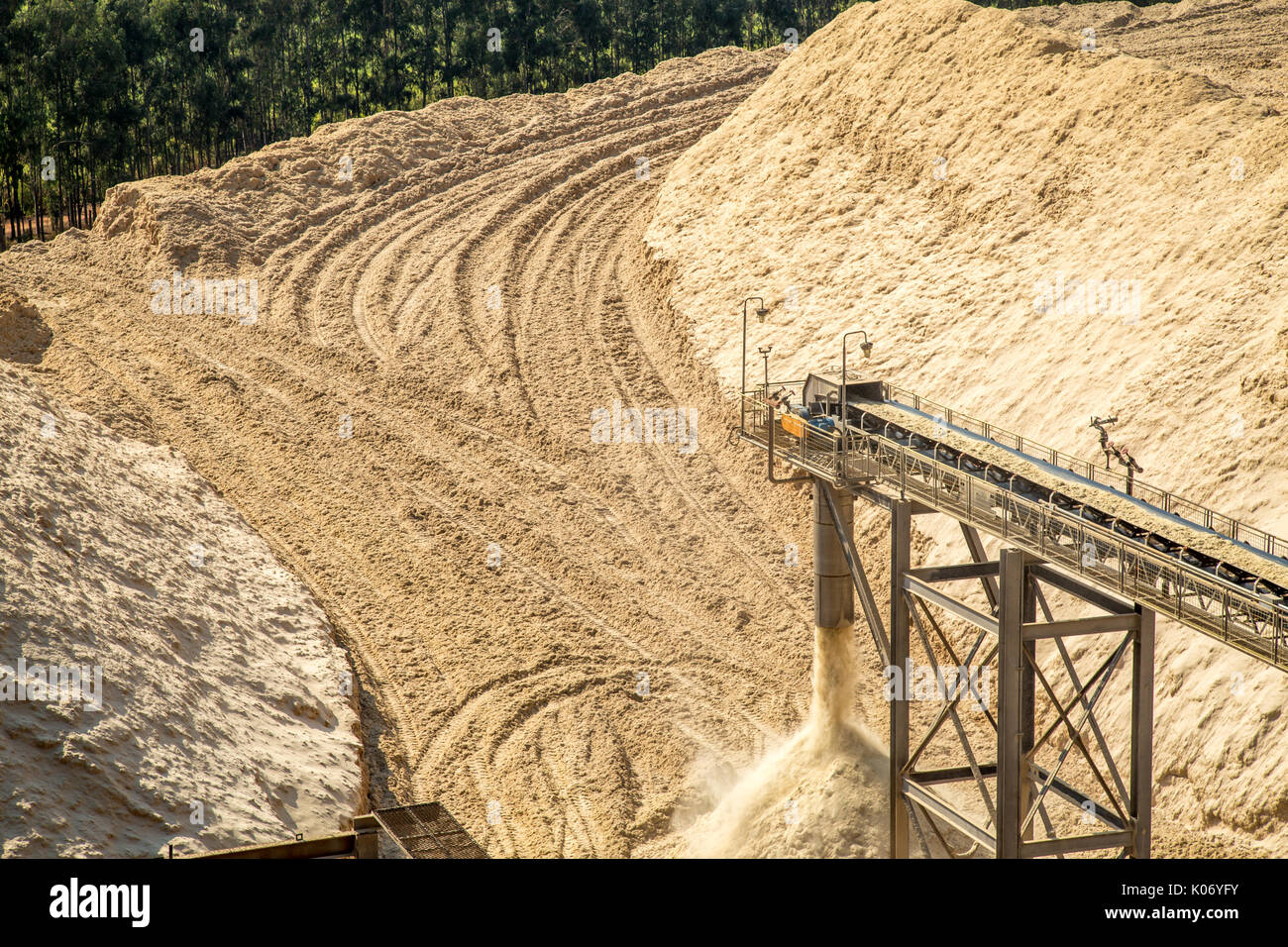 sugar cane bagasse fiber Stock Photo - Alamy