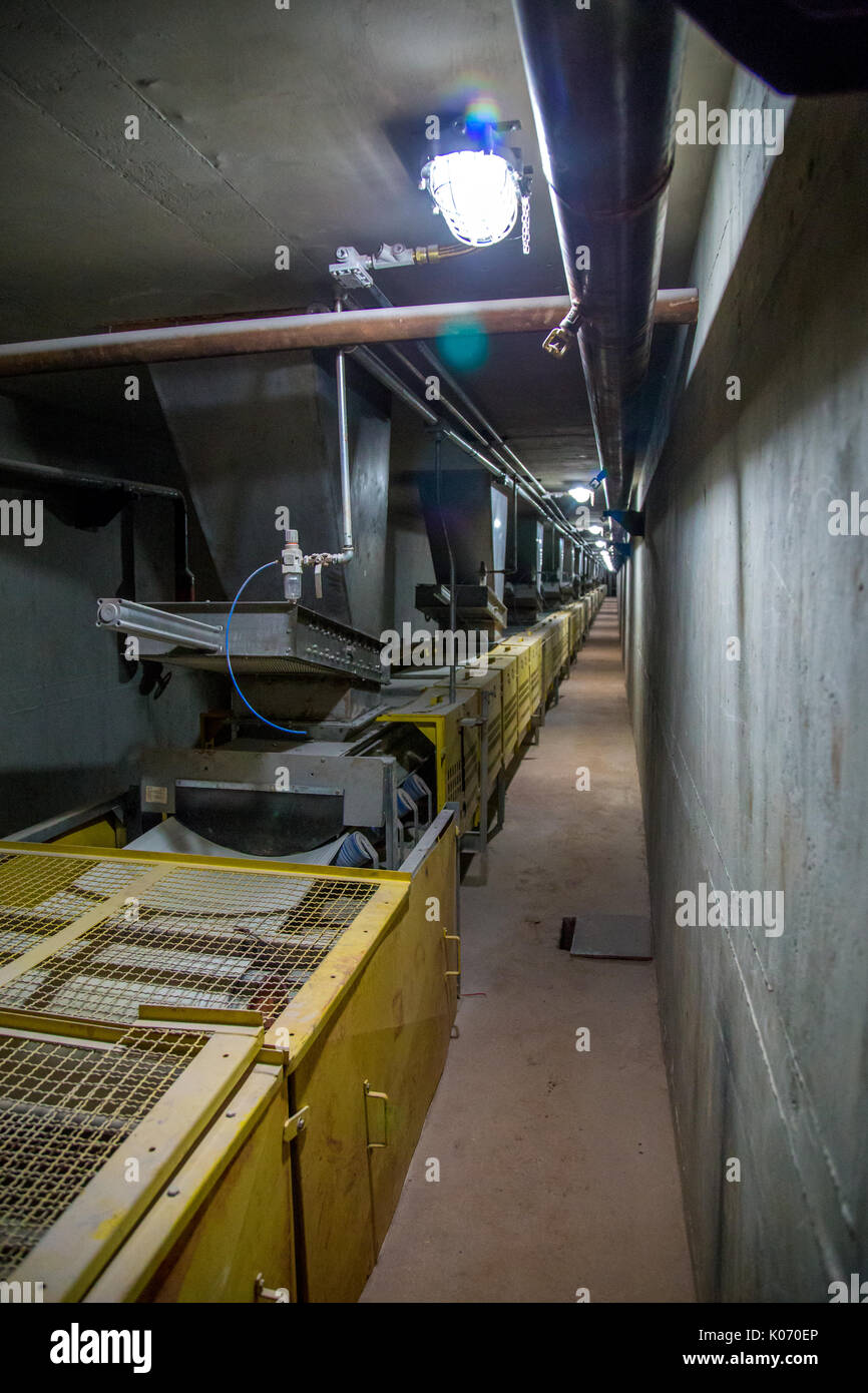Industrial sugar conveyor production line factory cane Stock Photo - Alamy