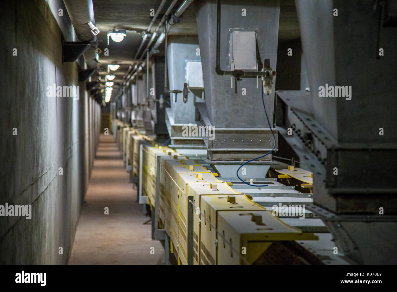 Industrial sugar conveyor production line factory cane Stock Photo - Alamy