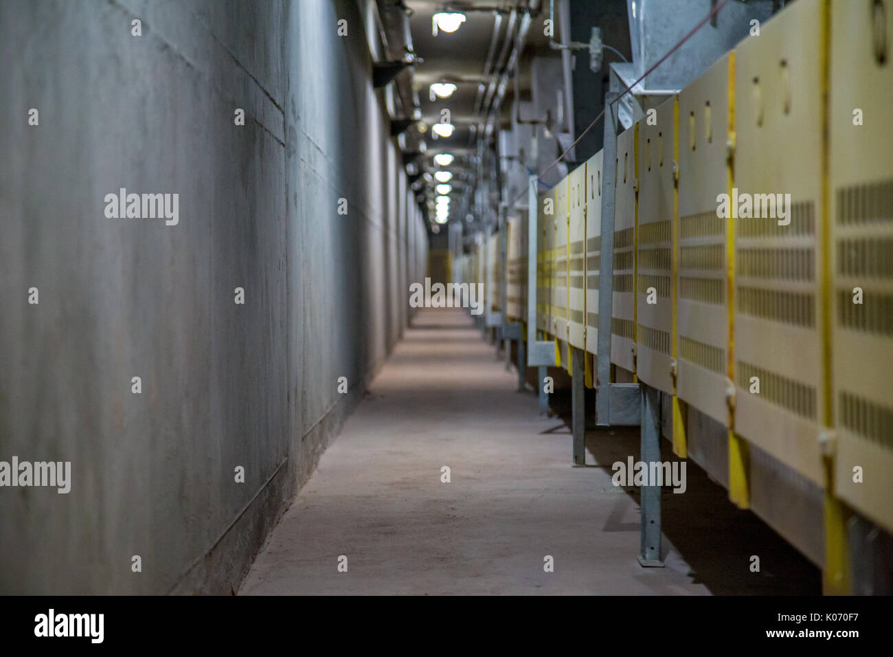 Industrial sugar conveyor production line factory cane Stock Photo - Alamy