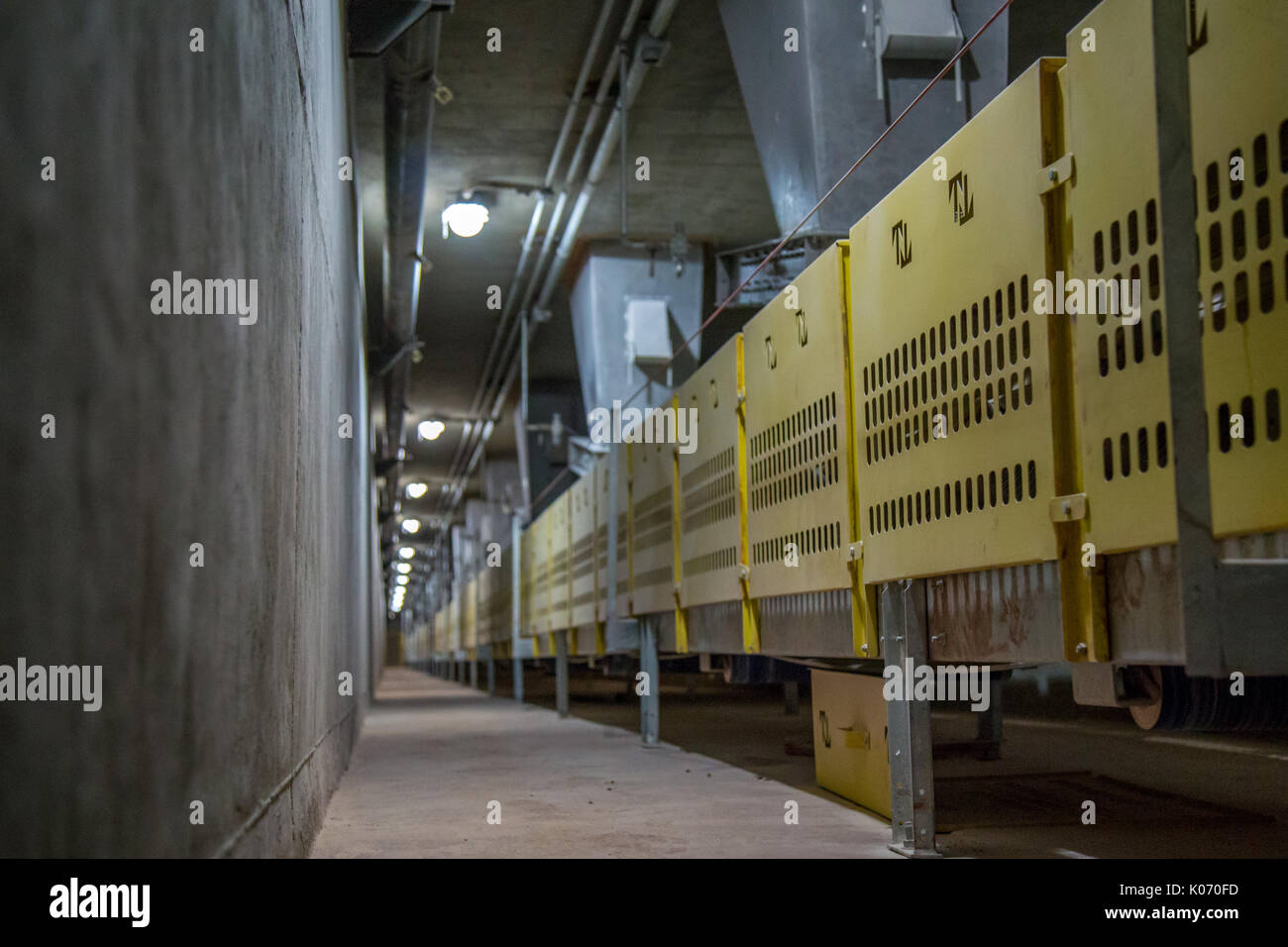 Industrial sugar conveyor production line factory cane Stock Photo - Alamy