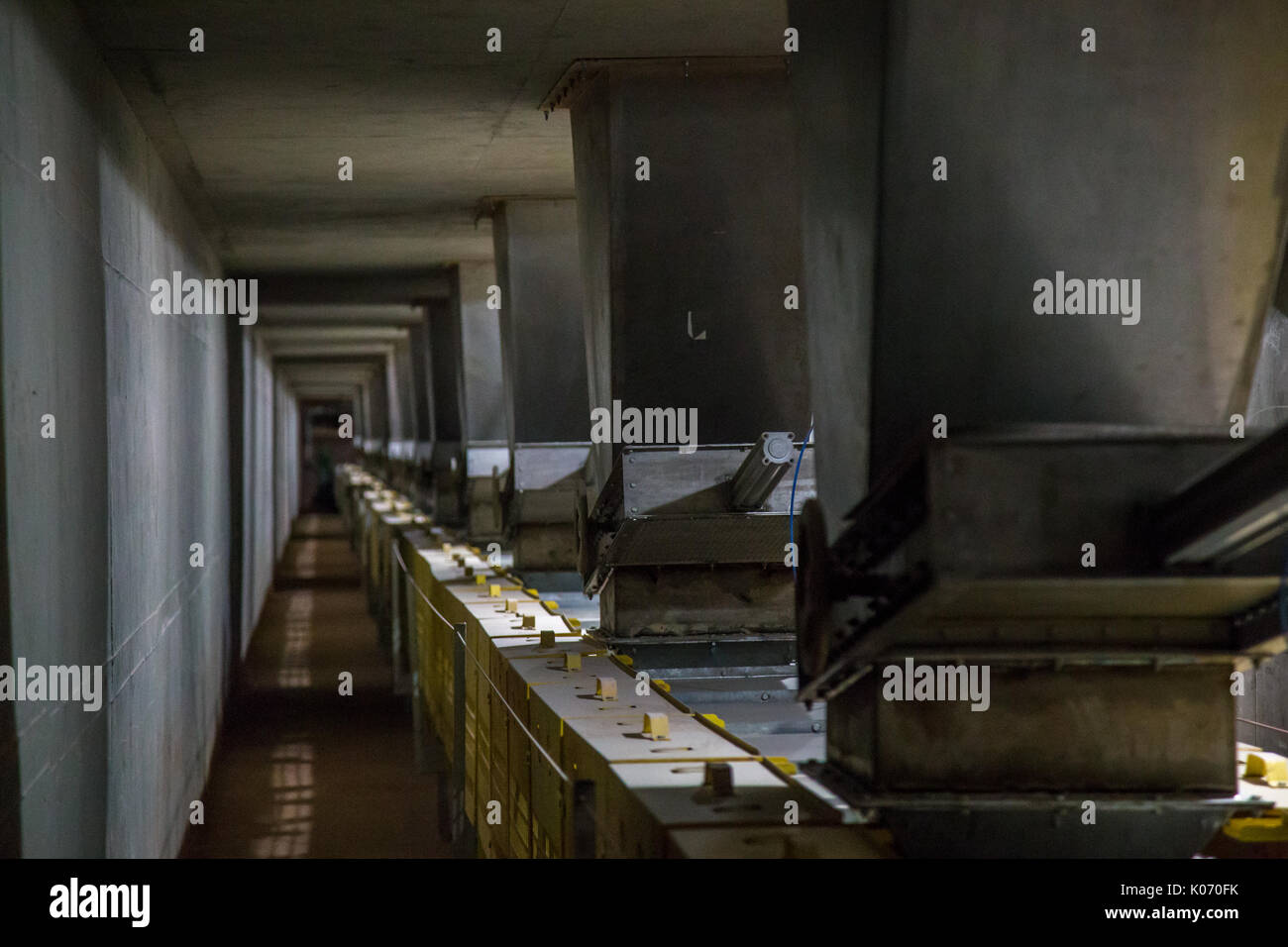 Industrial sugar conveyor production line factory cane Stock Photo - Alamy