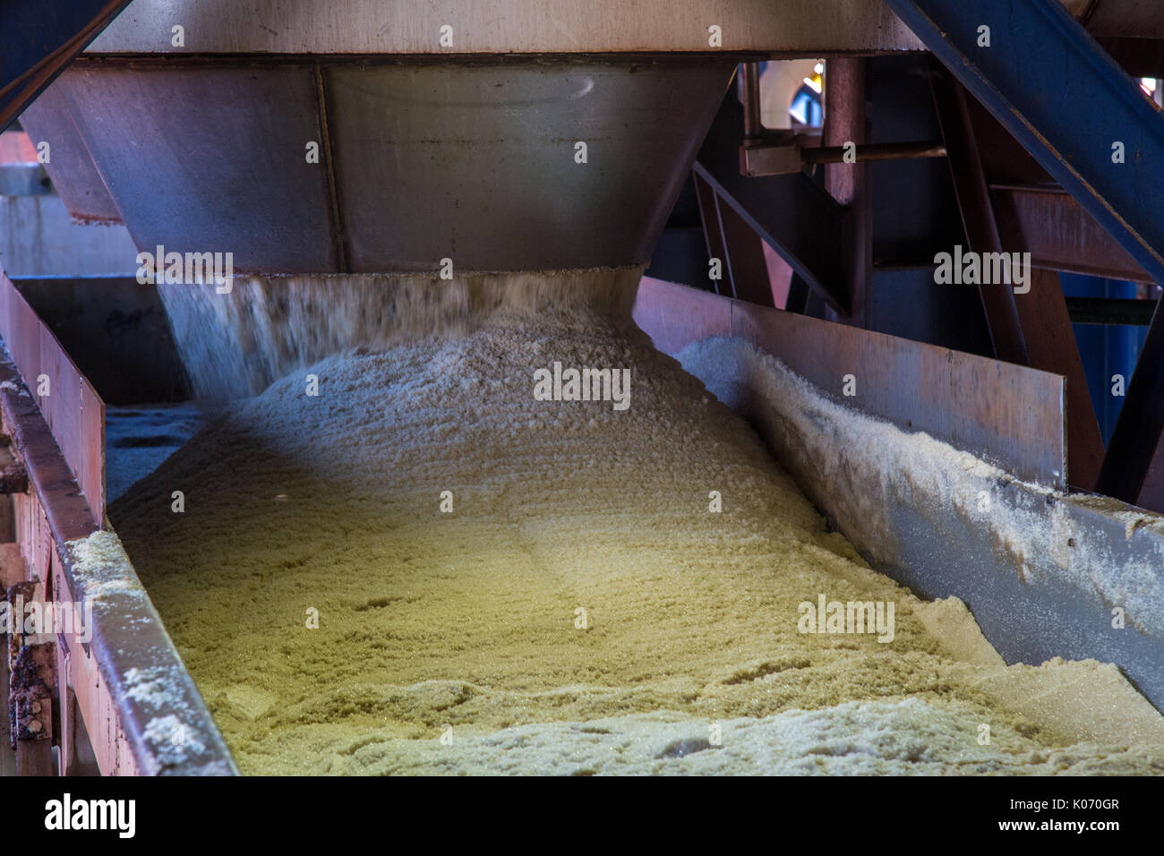sugar factory industry line production cane process Stock Photo - Alamy