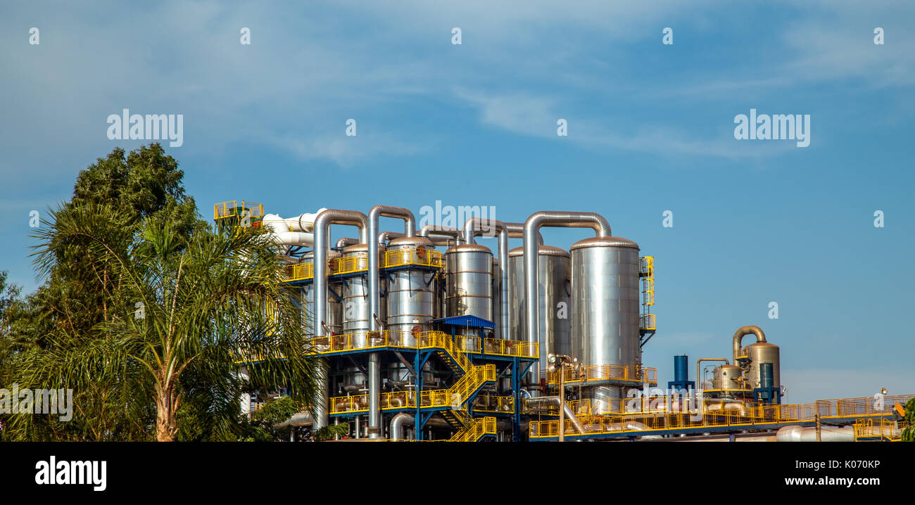 sugar factory industry line production cane process Stock Photo - Alamy