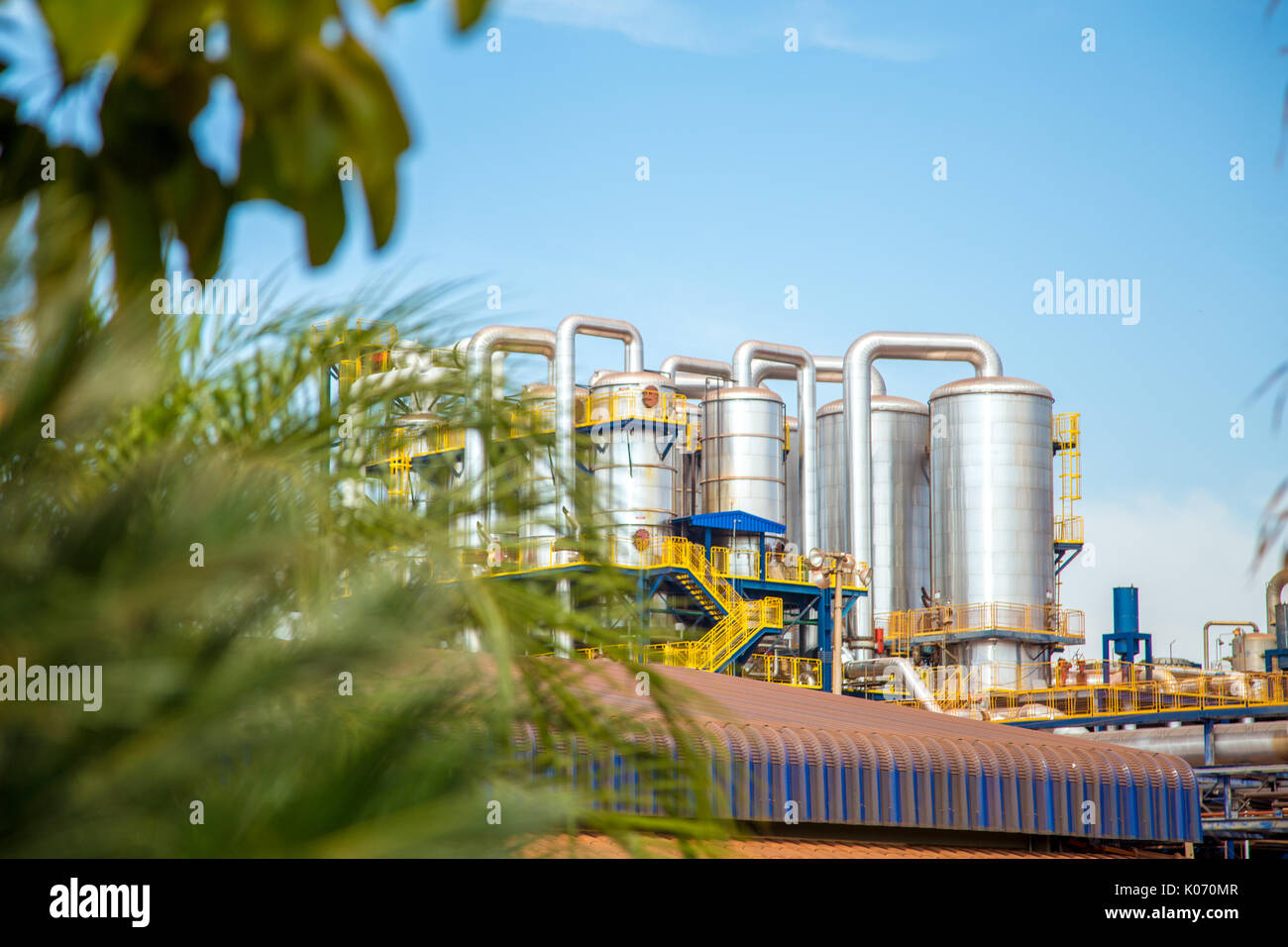 sugar factory industry line production cane process Stock Photo - Alamy