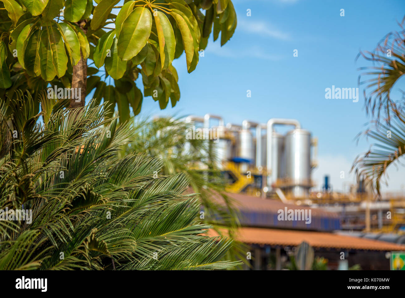 sugar factory industry line production cane process Stock Photo - Alamy