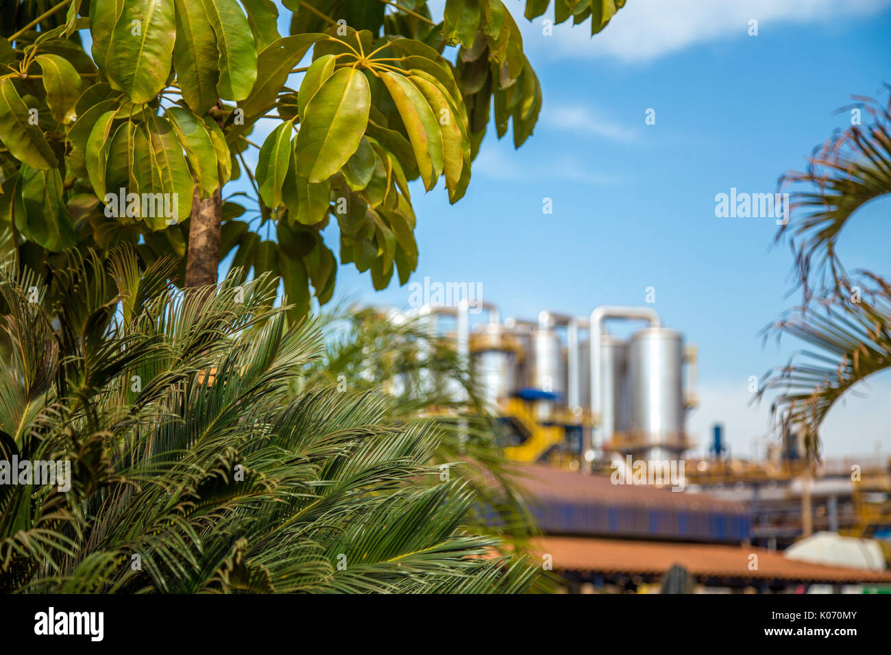 sugar factory industry line production cane process Stock Photo - Alamy