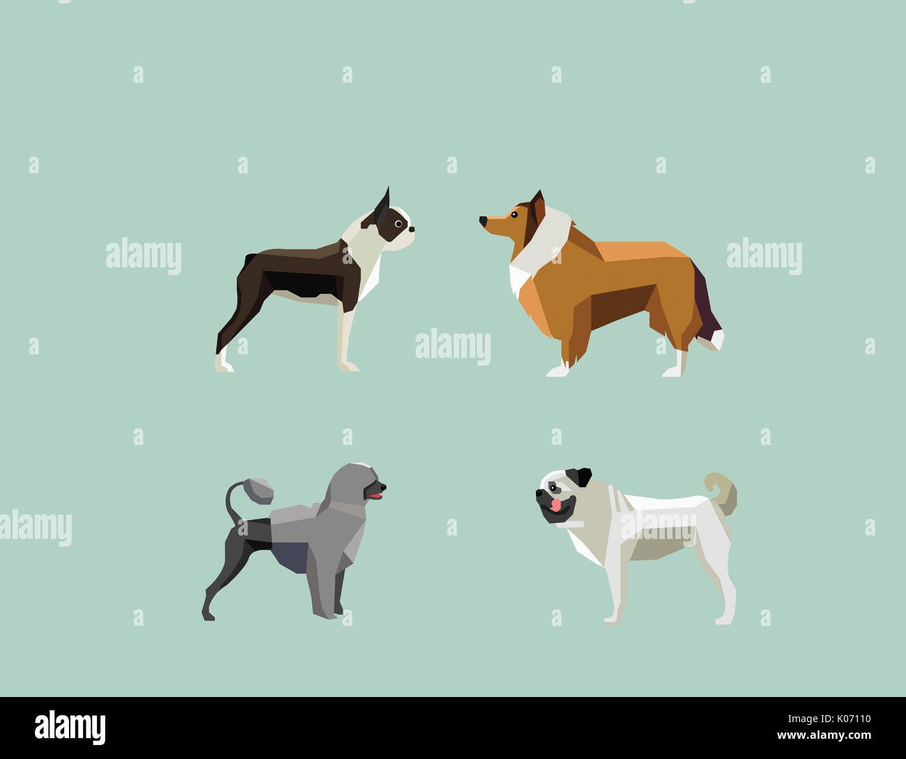 Four different dogs Stock Photo - Alamy