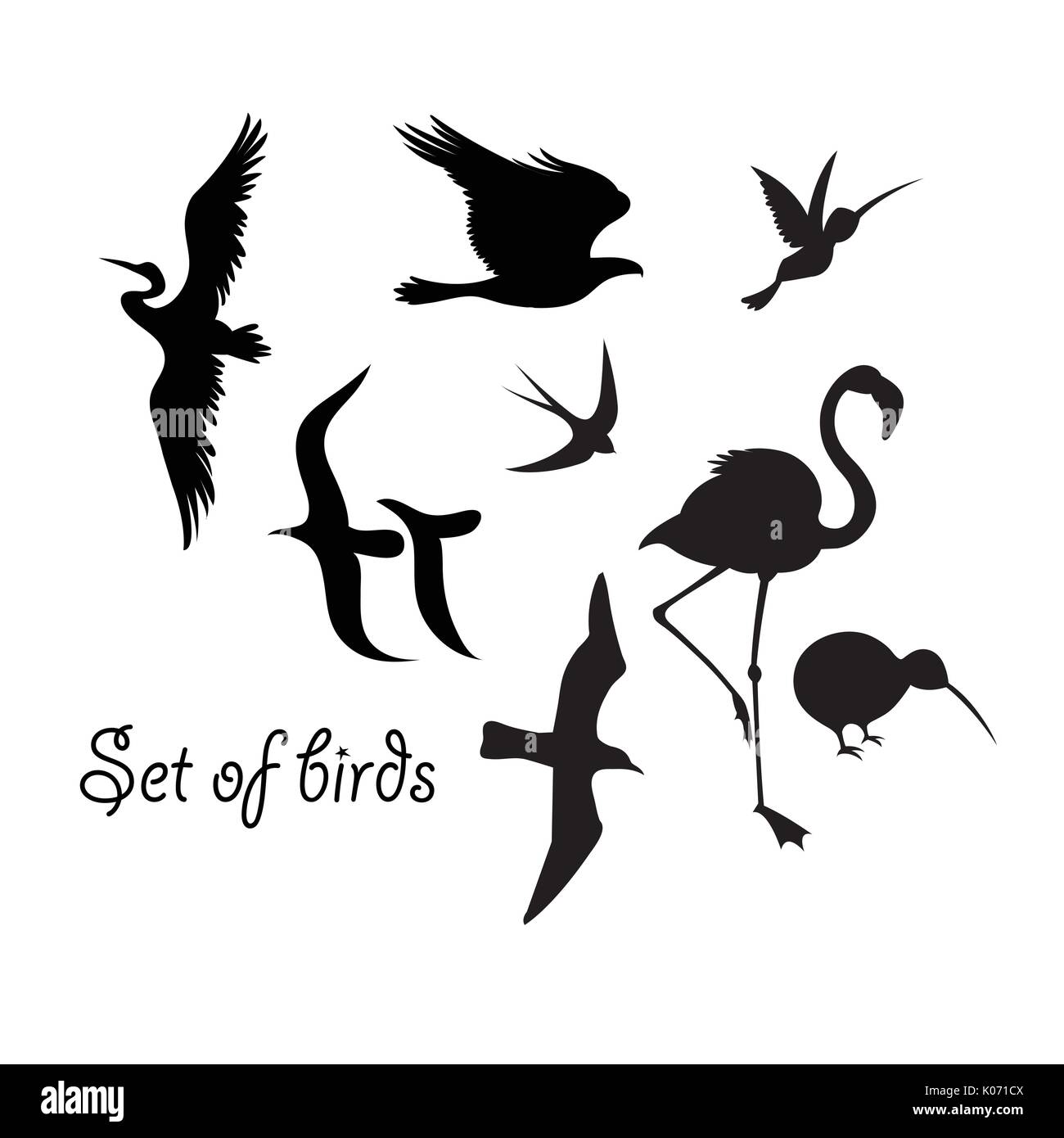 Set of silhouettes of birds symbols on white background Stock Vector ...