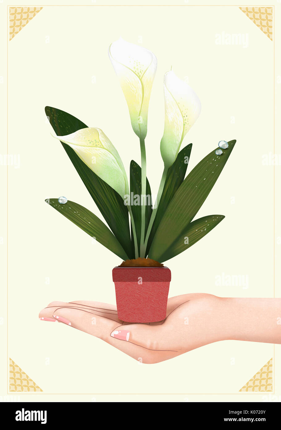 Hand holding a planted pot Stock Photo - Alamy
