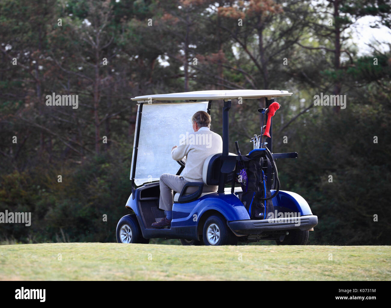 Senior golfer in a golf buggy on the course Stock Photo - Alamy