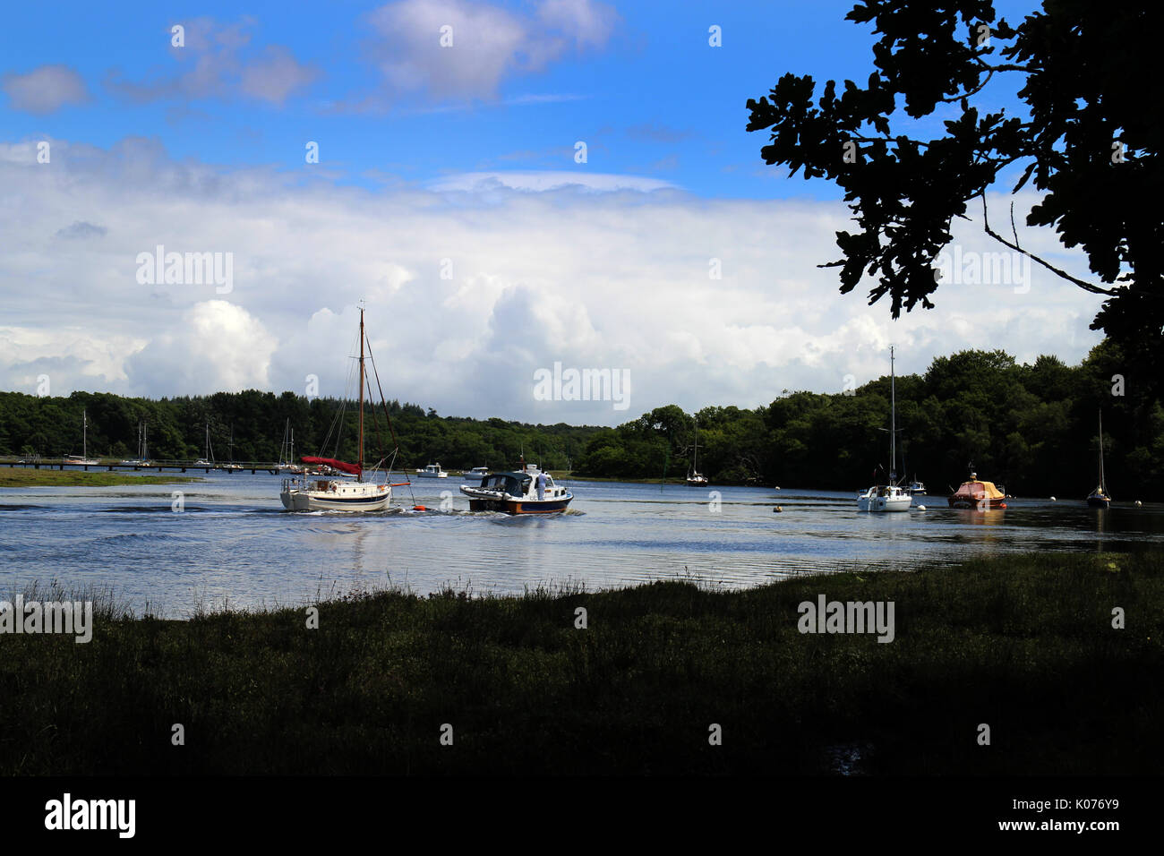 Beaulieu River New Forest Stock Photo - Alamy