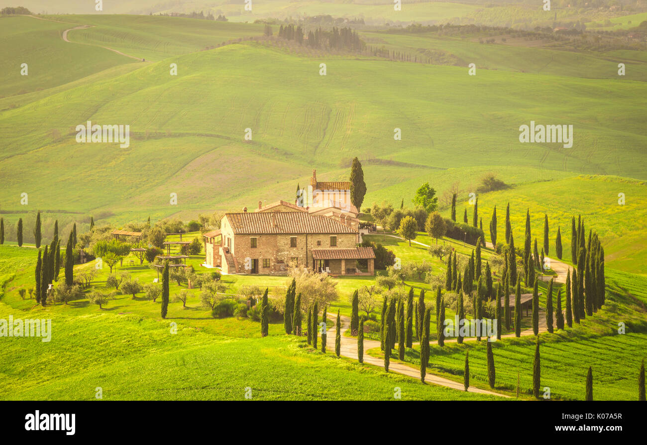 Podere Baccoleno, Asciano, Crete senesi, Tuscany, Italy Stock Photo - Alamy
