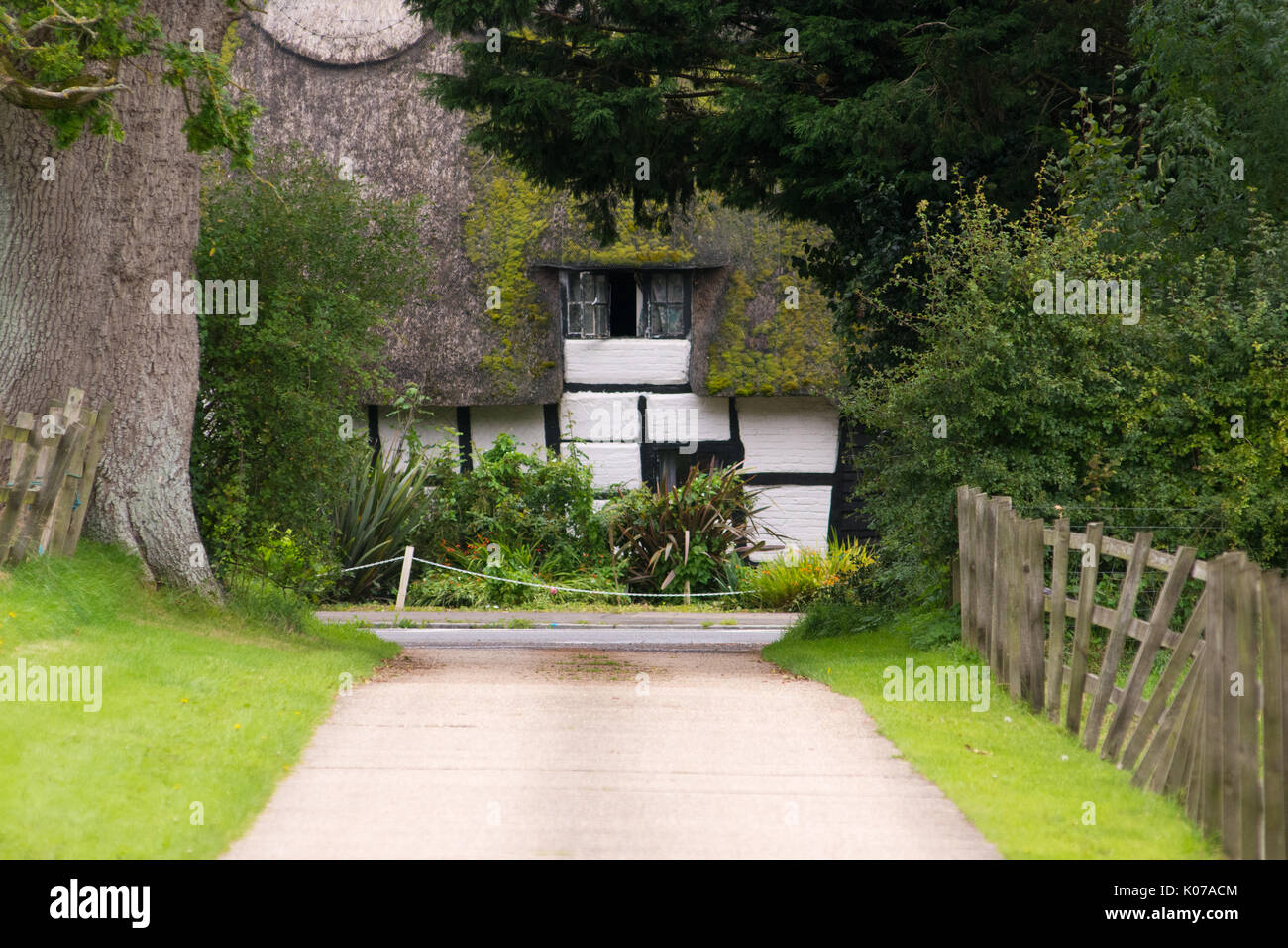 White walled thatched cottage visible at the end of a fence lined ...