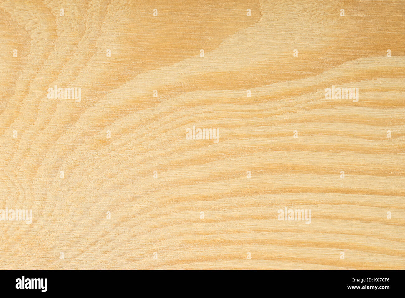 Pine tree texture. Wood background, light natural pattern Stock Photo ...