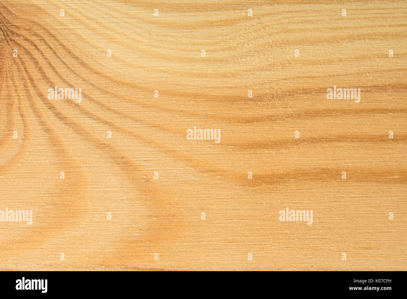 Pine tree texture. Wood background, light natural pattern Stock Photo ...