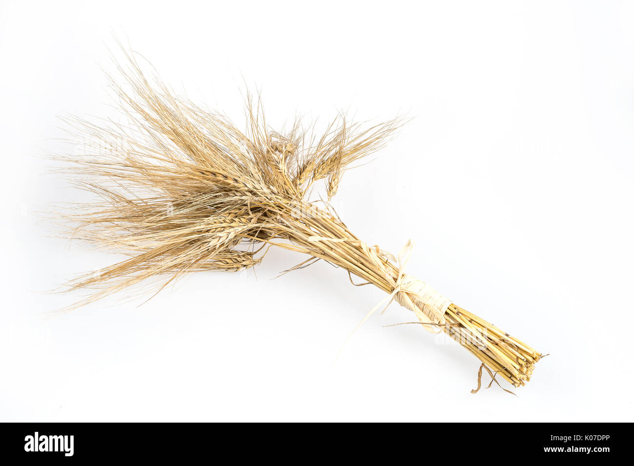 Barley bundle Cut Out Stock Images & Pictures - Alamy