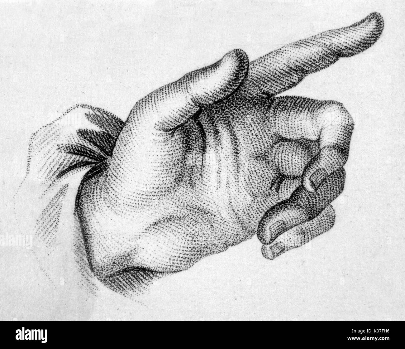 Hands anatomy hi-res stock photography and images - Alamy