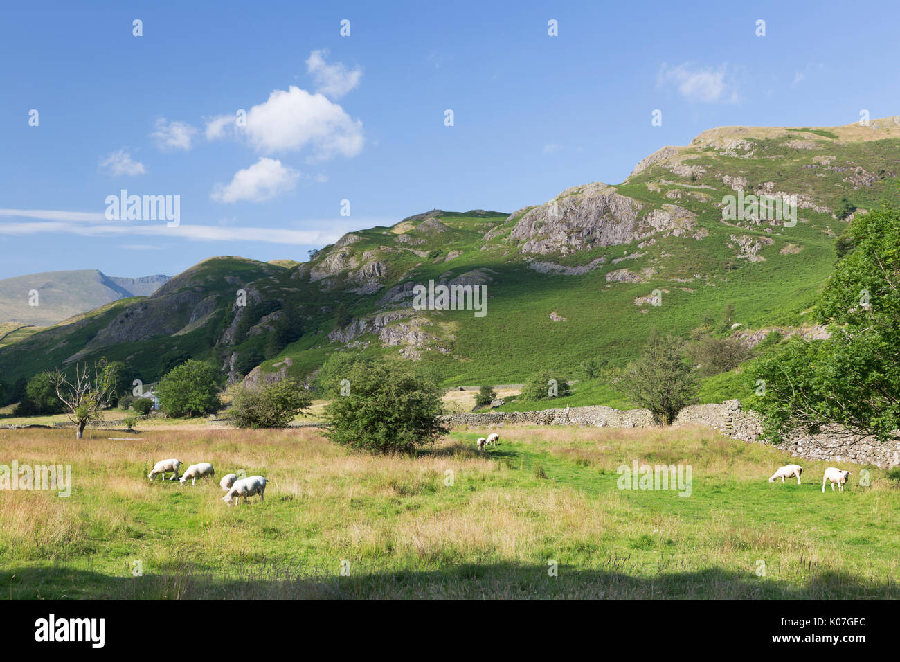 The view from below High Rigg (in the right foreground), south-east of ...