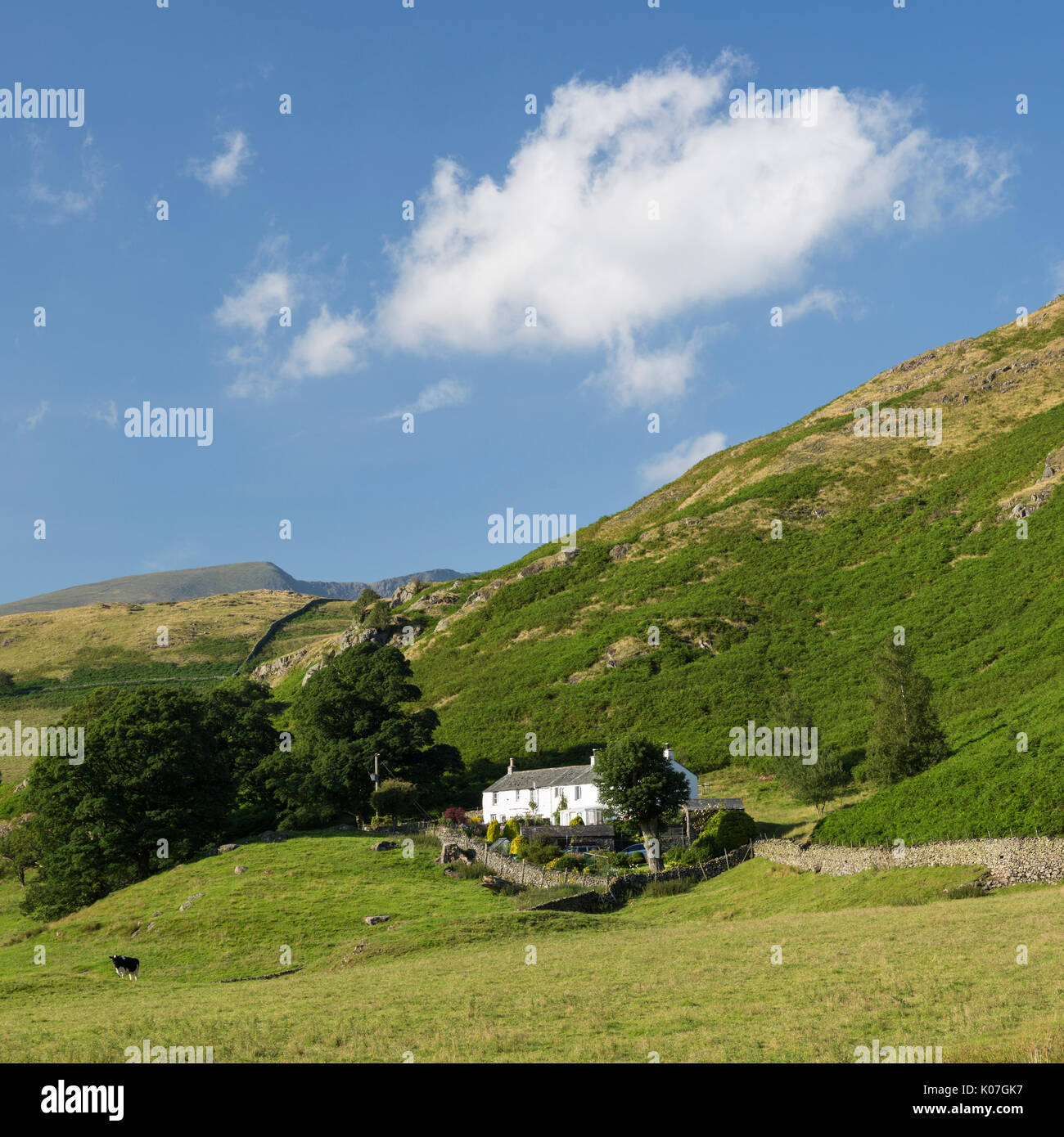 Stone Cottage and Piper House, nestled below High Rigg, south-east of ...