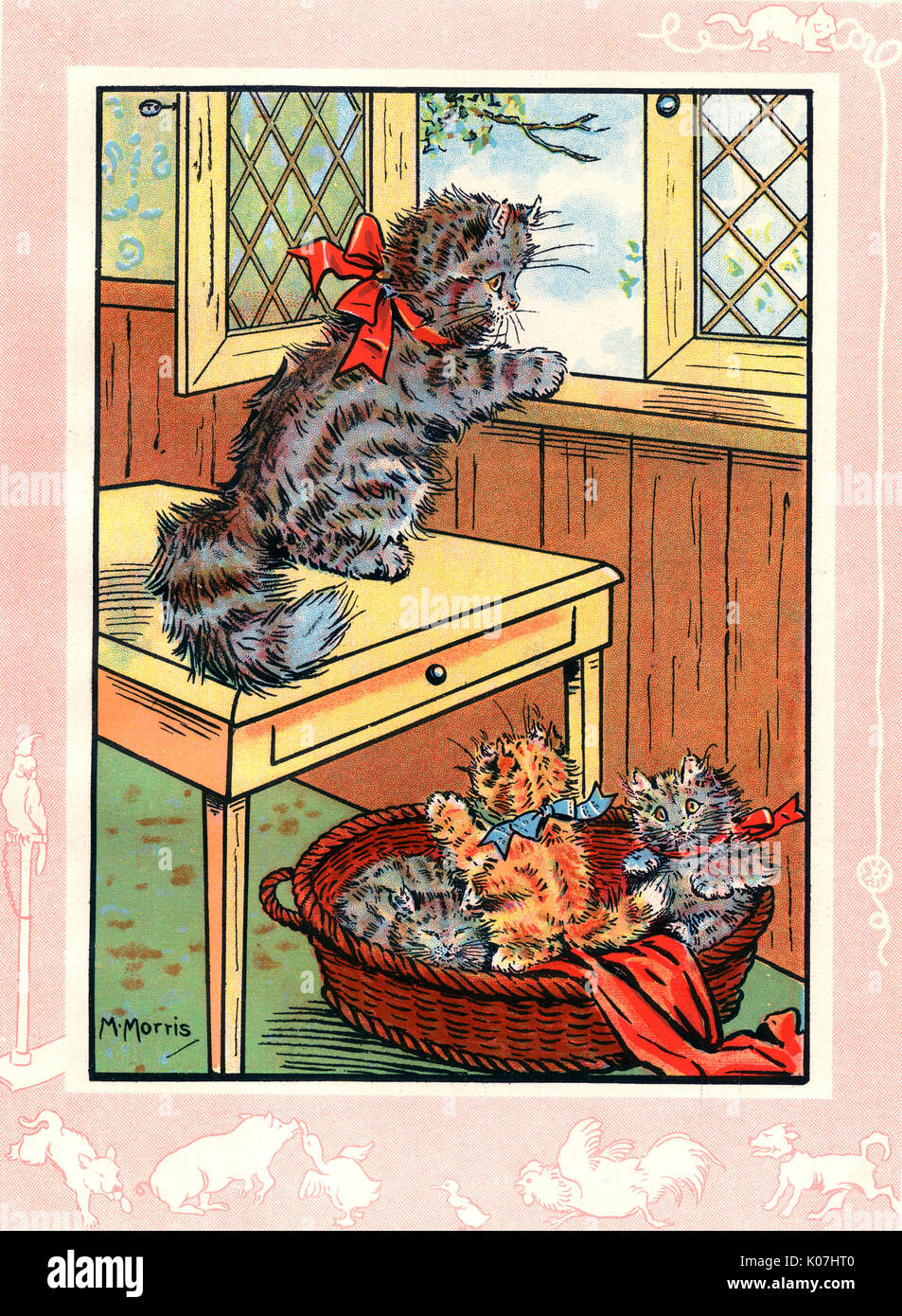 Red books kittens hi-res stock photography and images - Alamy