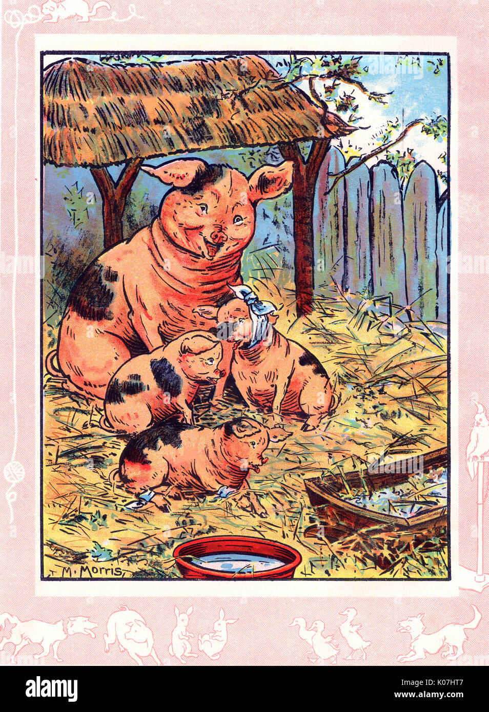 Mother pig and her piglets Stock Photo - Alamy