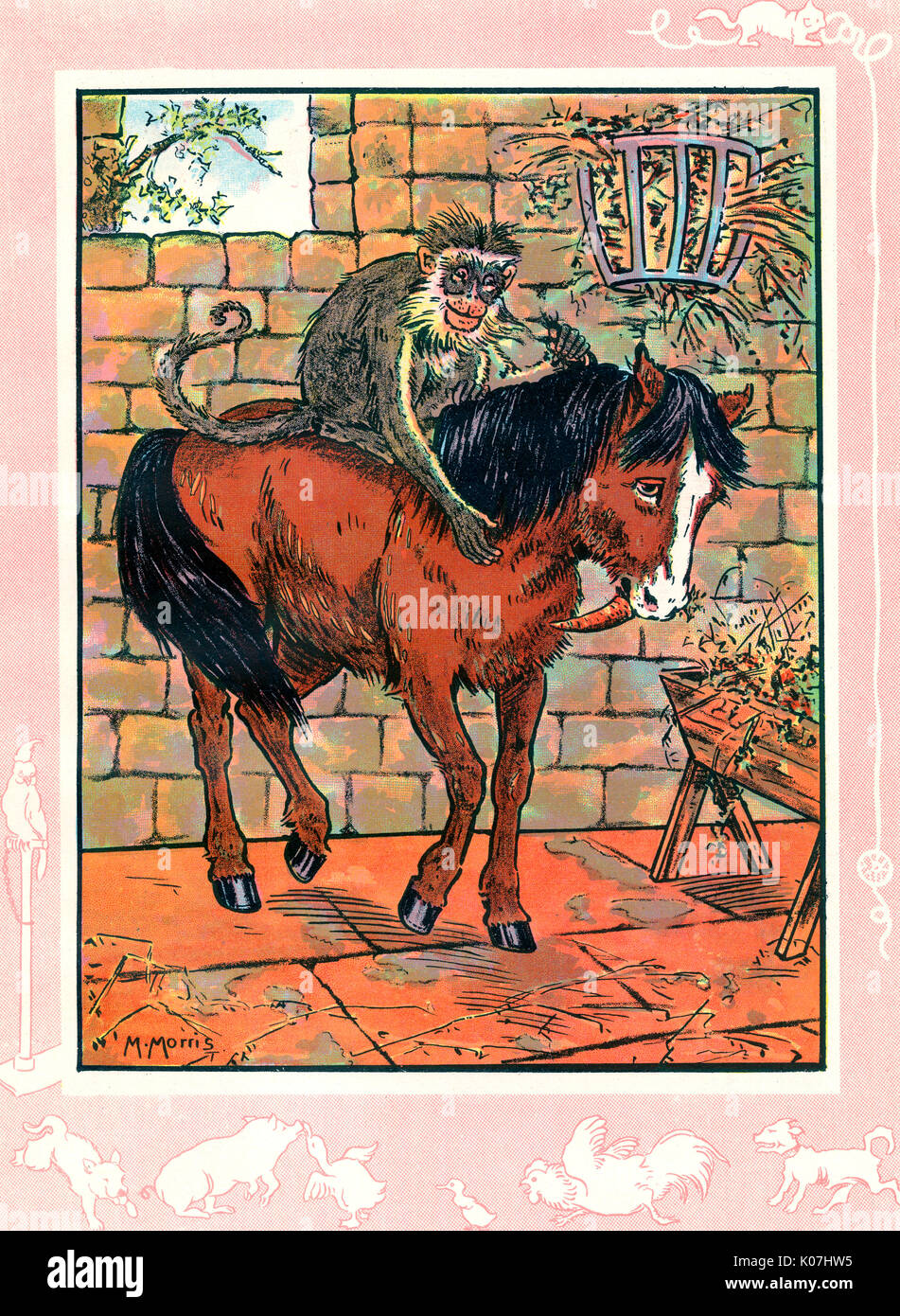 A pony with a monkey on its back Stock Photo - Alamy