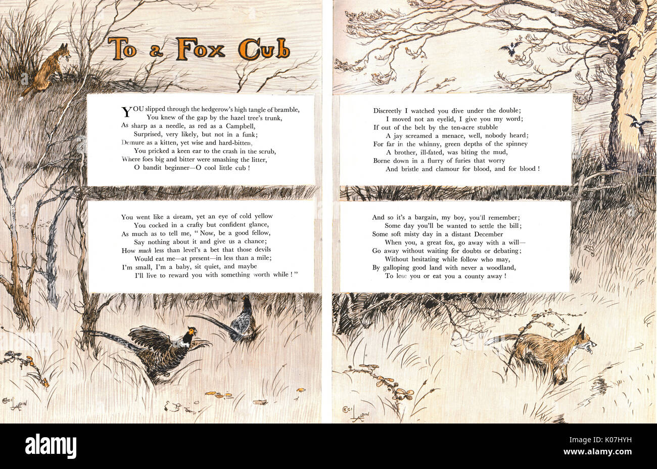 Illustration by Cecil Aldin, Forty Fine Ladies Stock Photo - Alamy