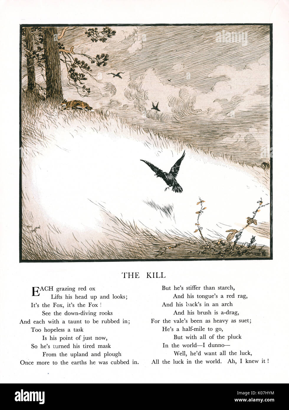 Illustration by Cecil Aldin, Forty Fine Ladies Stock Photo - Alamy