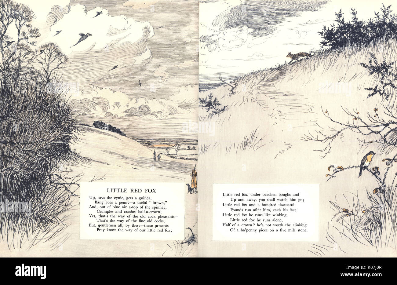 Illustration by Cecil Aldin, Forty Fine Ladies Stock Photo - Alamy