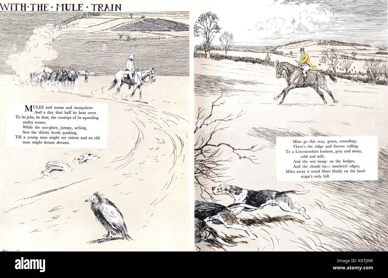 Illustration by Cecil Aldin, Forty Fine Ladies Stock Photo - Alamy