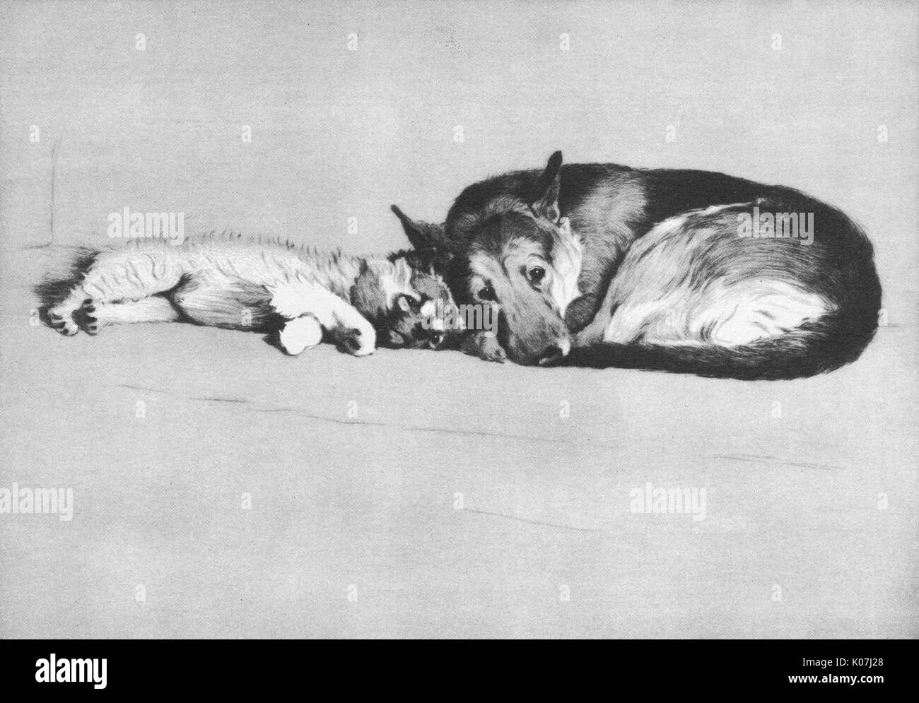 Book day illustration Black and White Stock Photos & Images - Alamy