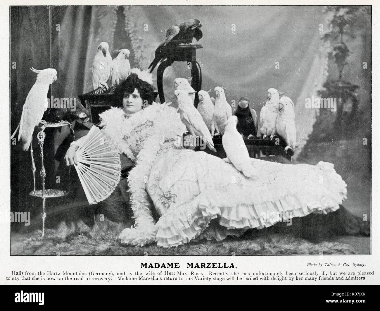 Music Hall star, Madame Marzella with her cockatoos. Date: 1905 Stock ...