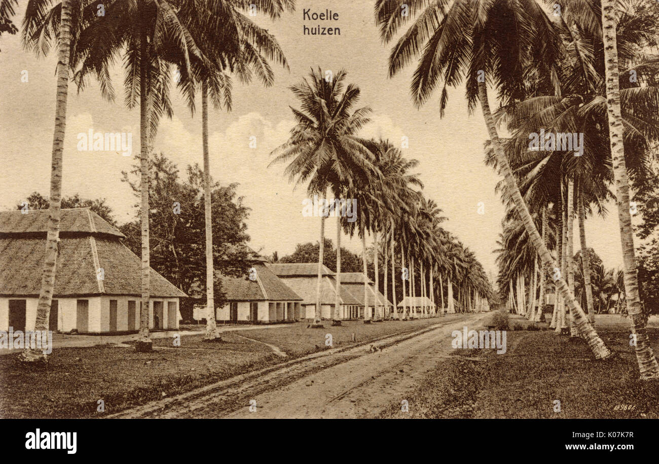 Palm tree dutch east indies hi-res stock photography and images - Alamy