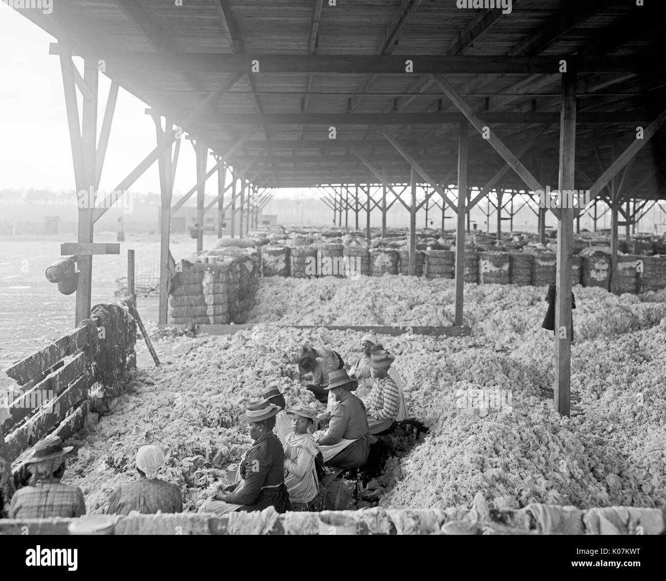 African-American women and children sorting cotton Stock Photo - Alamy