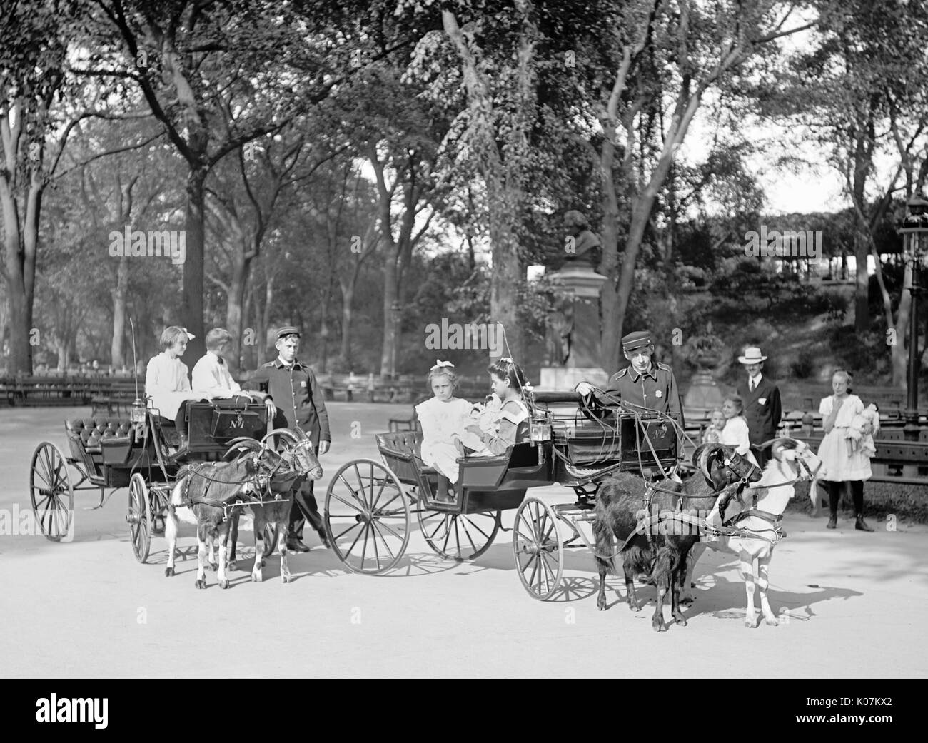 Children riding in Goat carriages in Central Park, New York Stock Photo ...